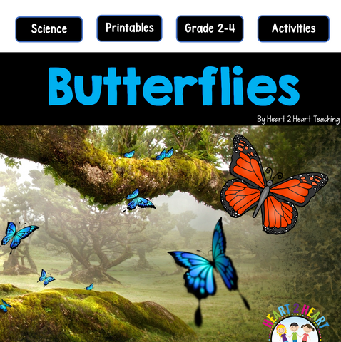The Life Cycle of a Butterfly Activity Pack – Heart 2 Heart Teaching