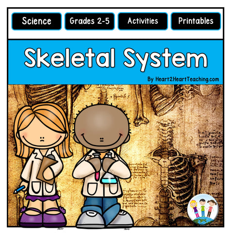 Human Body Systems: Let's Explore Our Skeletal System – Heart 2 Heart ...