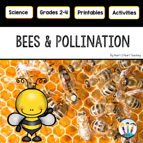 Bees and Pollination Activity Pack – Heart 2 Heart Teaching