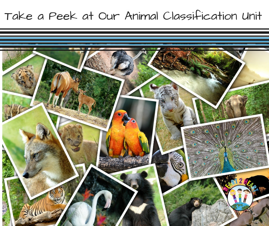 Take a Sneak Peek at Our Animal Classification Unit – Heart 2 Heart ...