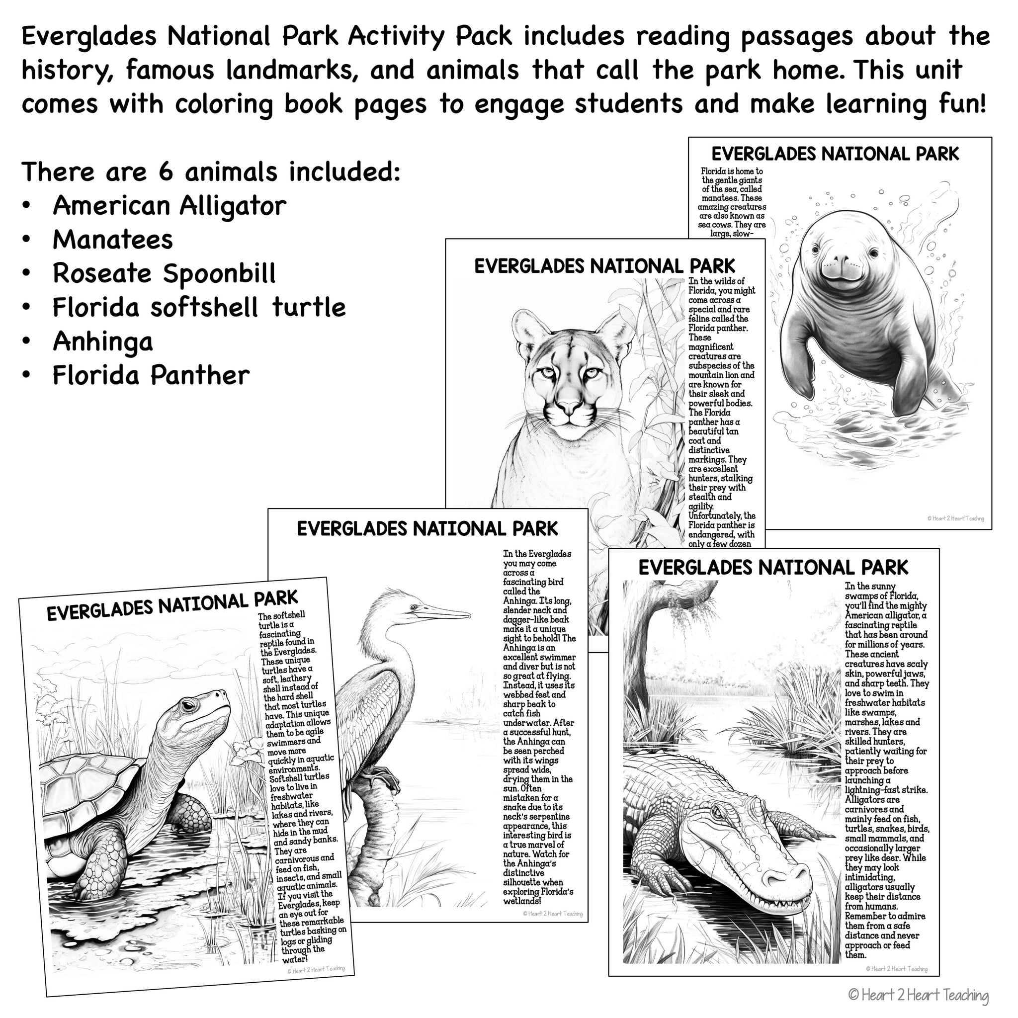 Everglades National Park Coloring Pages – Heart 2 Heart Teaching