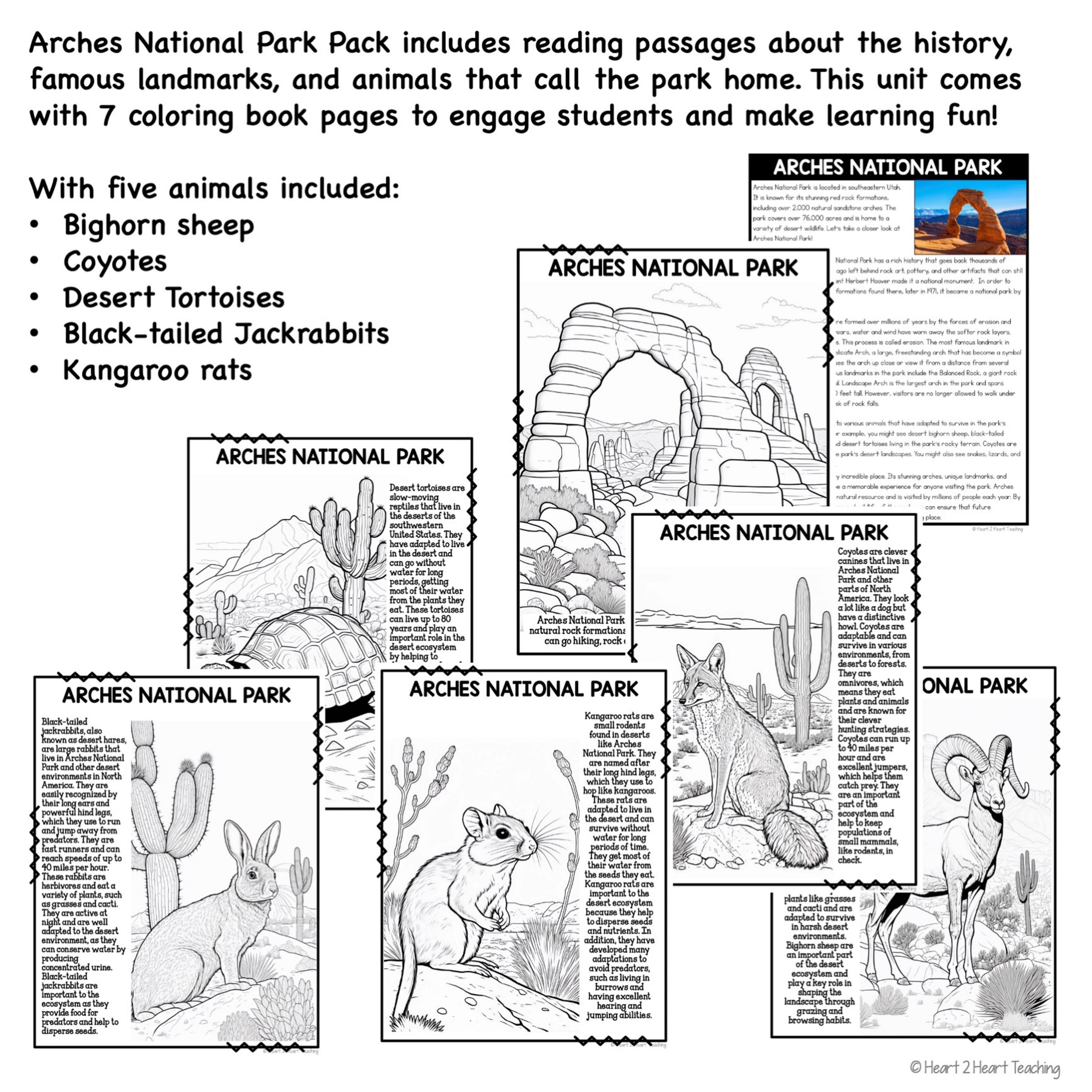 National Parks Bundle with Acadia, Arches, Great Smokey Mountains, Yel ...