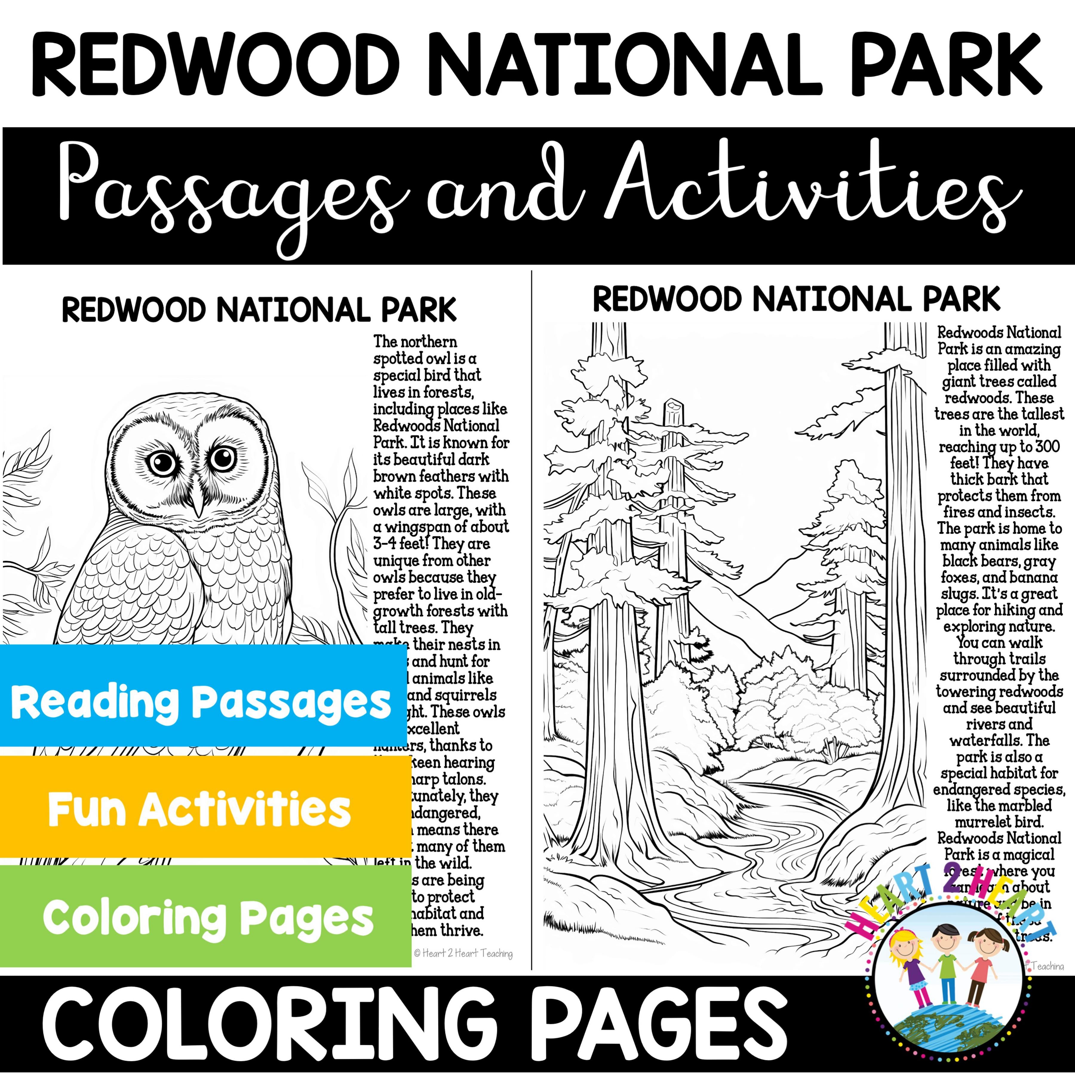 Redwoods National Park Unit With Coloring Pages Activities & Worksheet ...