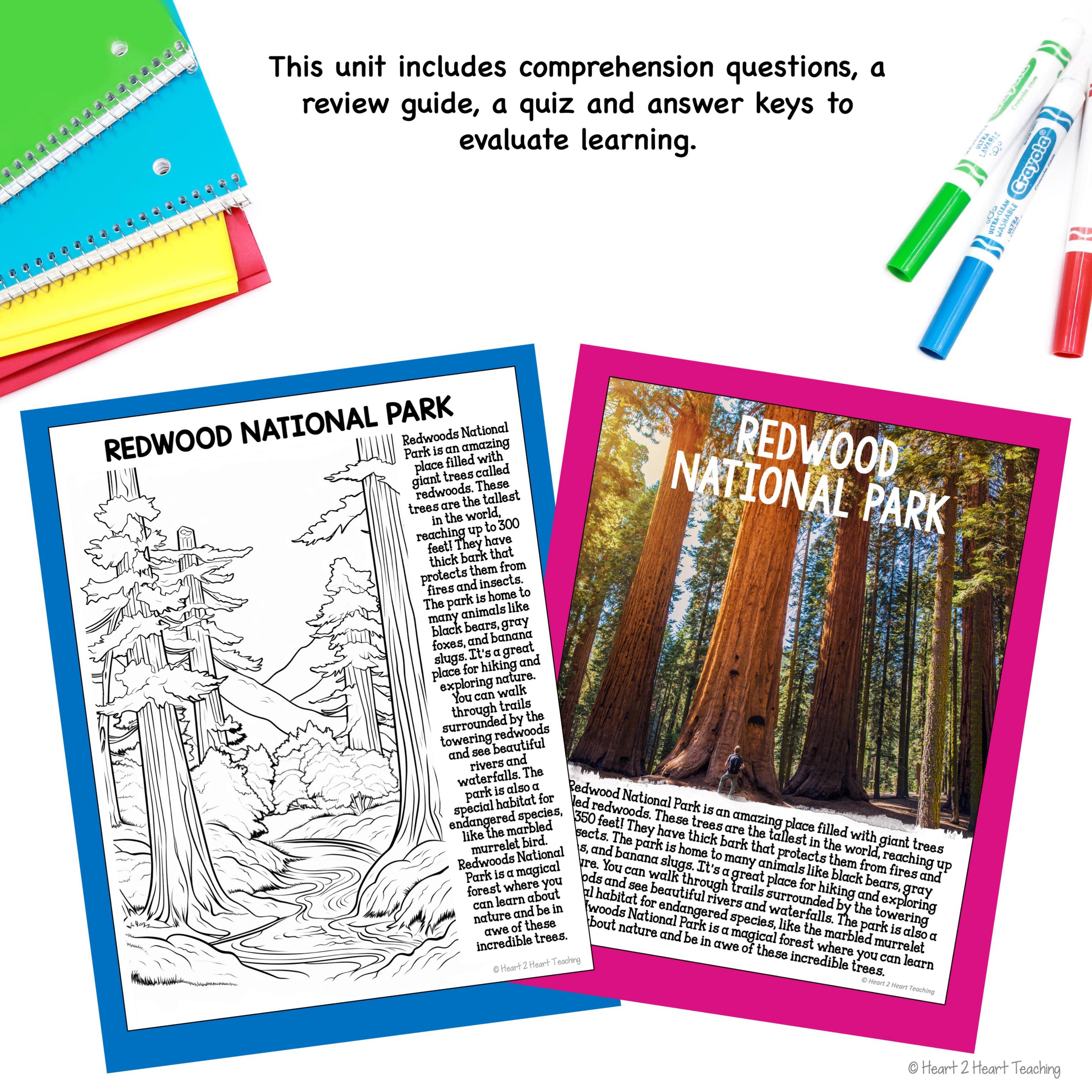Redwoods National Park Unit With Coloring Pages Activities & Worksheet ...