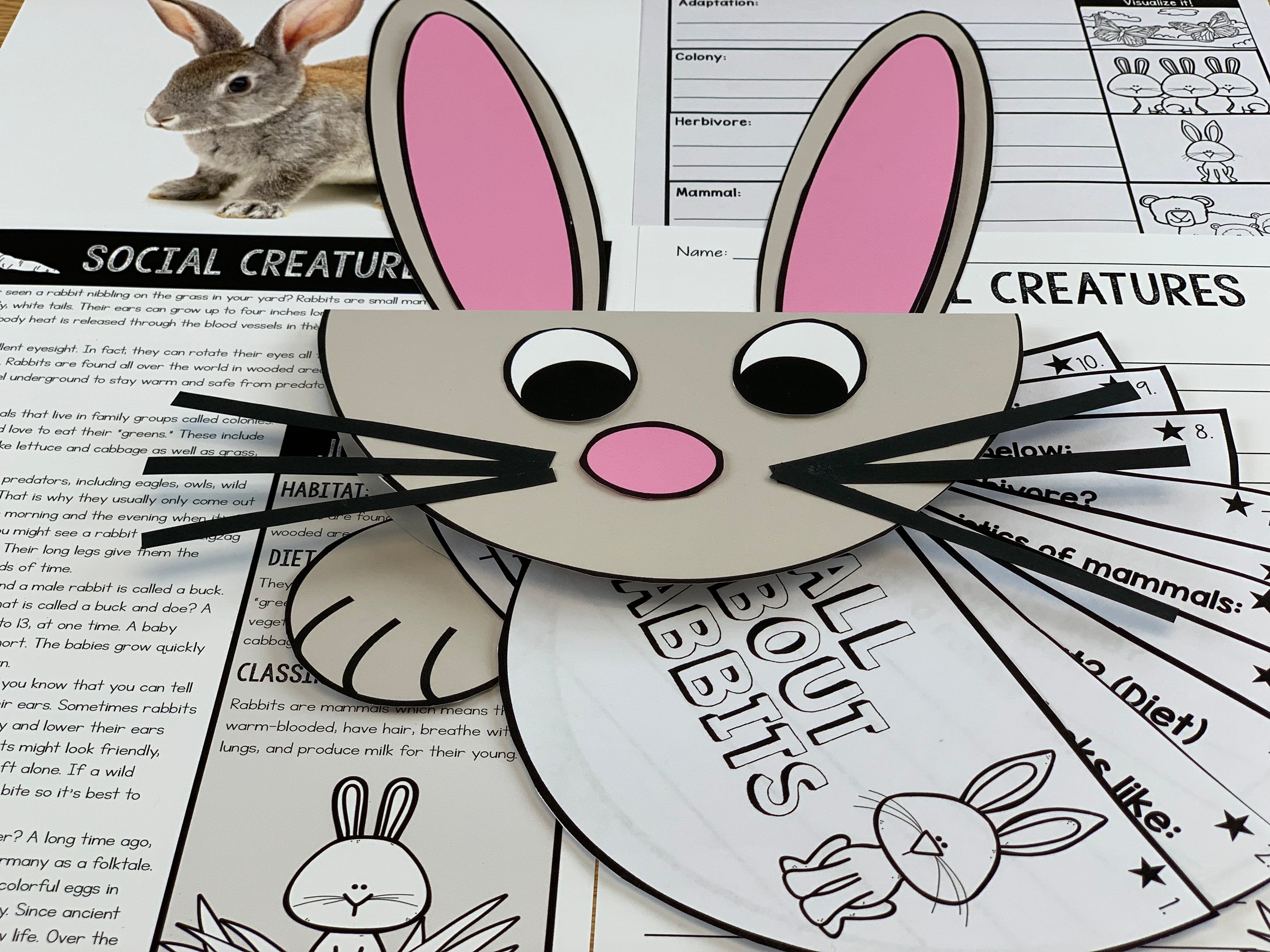 Rabbits Unit with an Easy Easter Bunny Craft Project – Heart 2 Heart ...