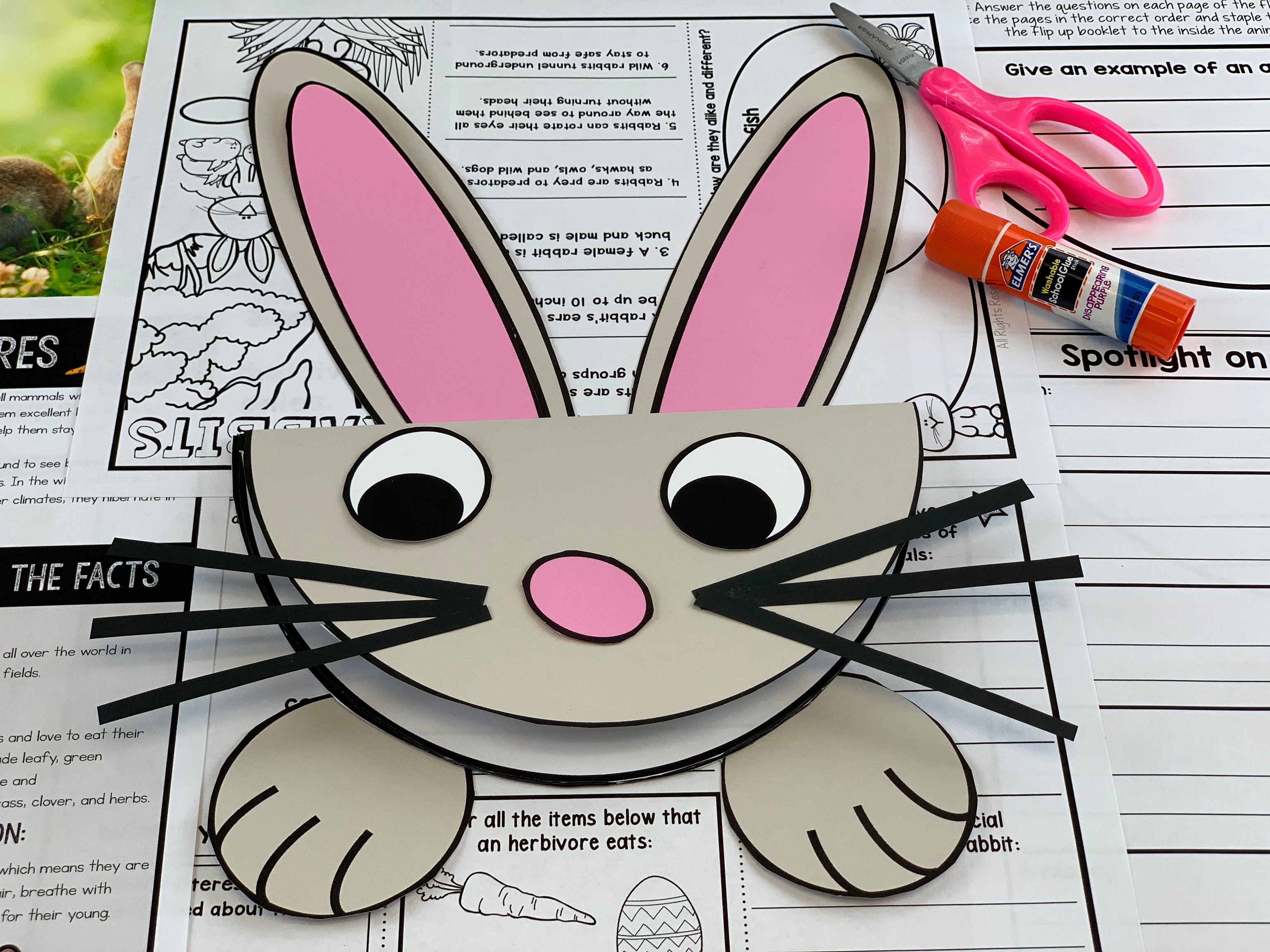 Rabbits Unit with an Easy Easter Bunny Craft Project – Heart 2 Heart ...
