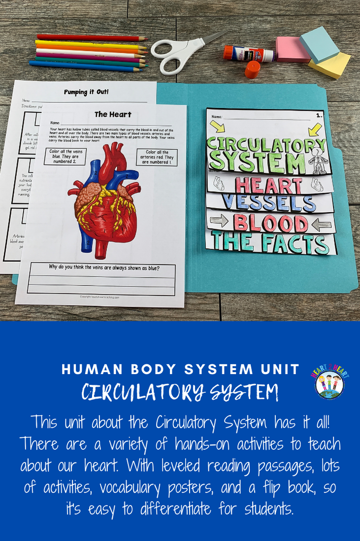 Human Body Systems: Let's Explore Our Circulatory System – Heart 2 ...