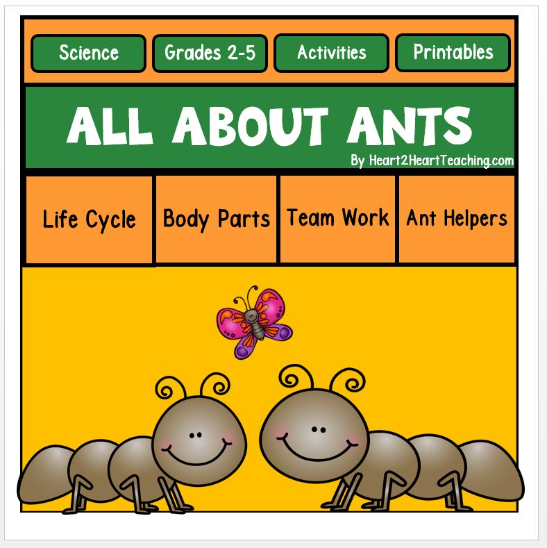 Life Cycle of an Ant Unit – Heart 2 Heart Teaching