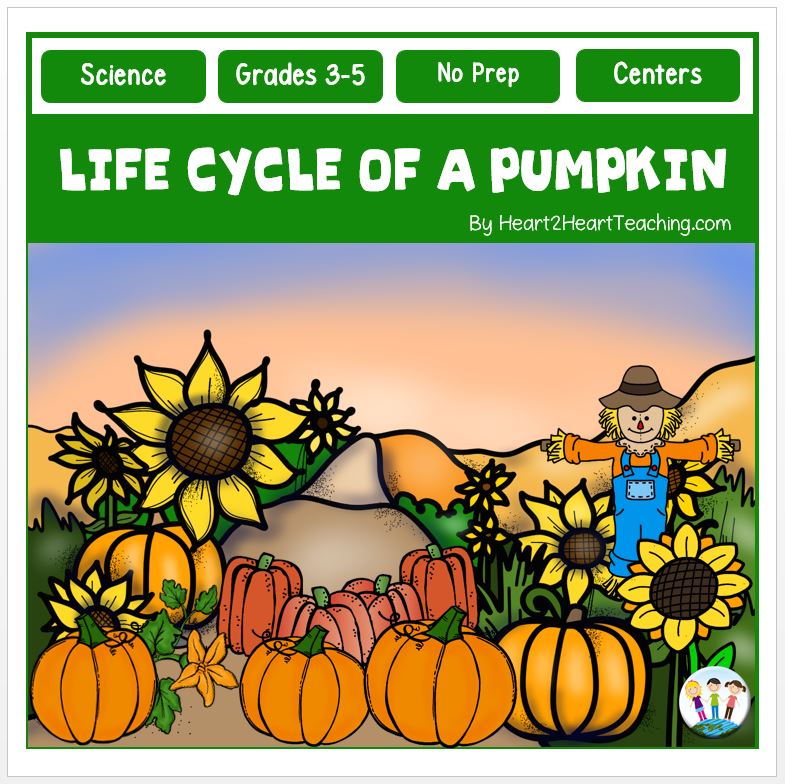 Life Cycle of a Pumpkin – Heart 2 Heart Teaching