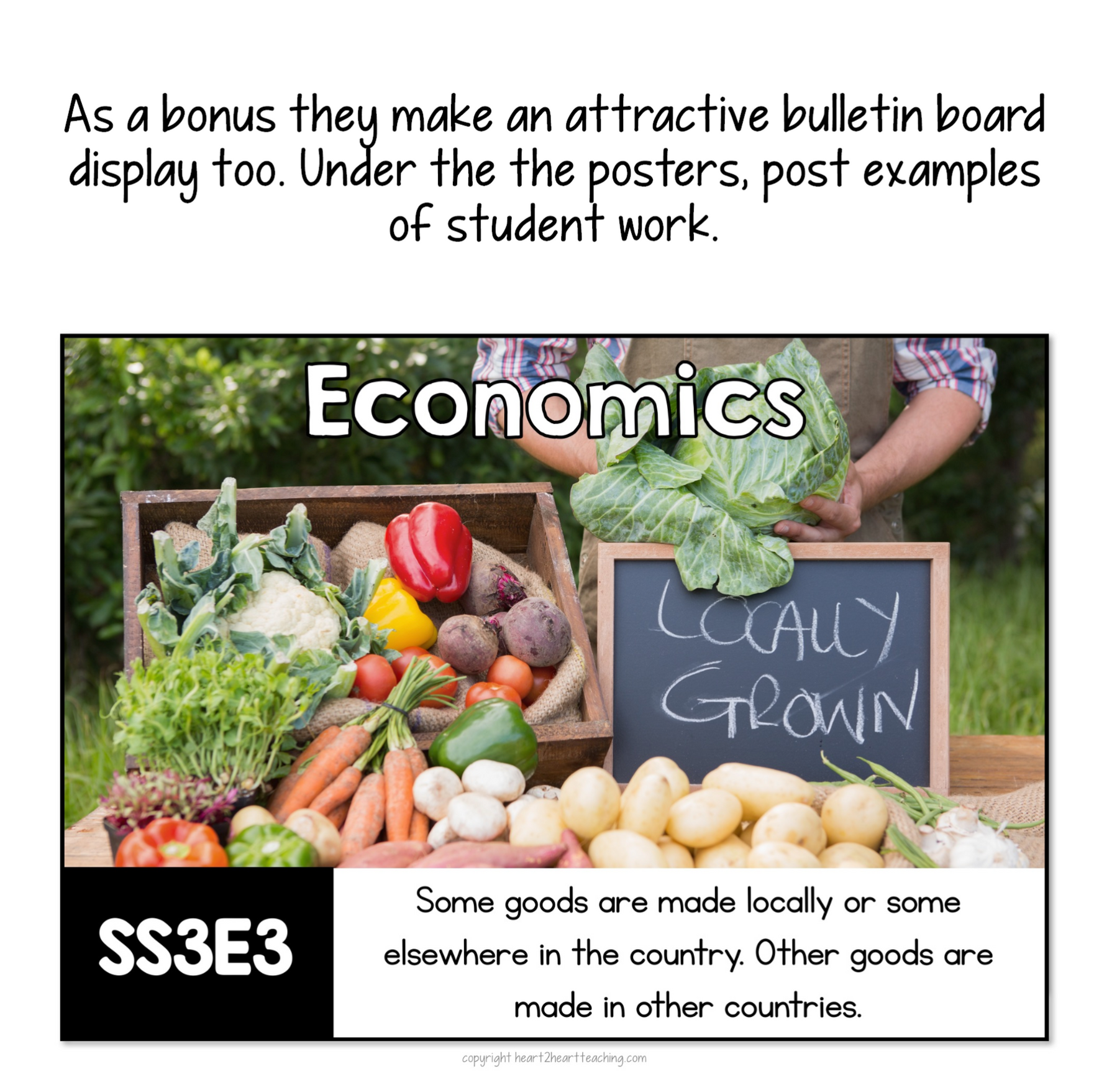 Georgia Standards of Excellence 3rd Grade Social Studies Posters ...