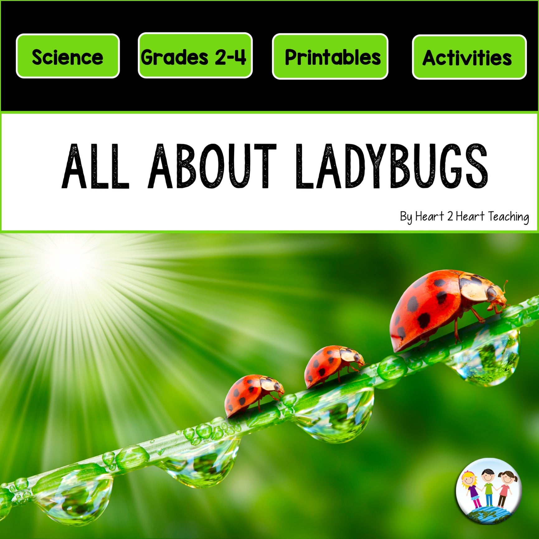 All About Ladybugs Craft and Activity Pack – Heart 2 Heart Teaching