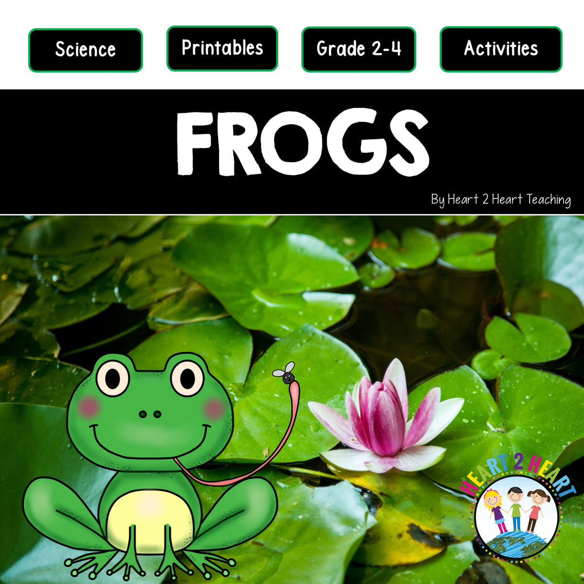 Let's Learn All About Frogs – Heart 2 Heart Teaching