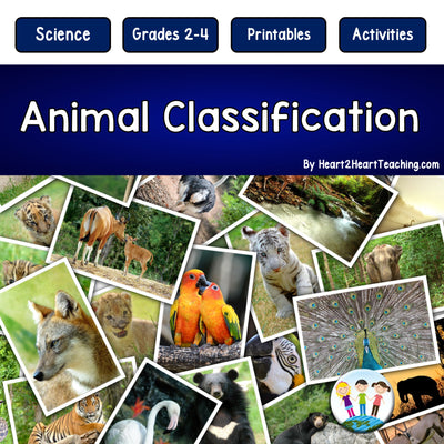 Animal Classification Unit with Mammals, Birds, Fish, Reptiles, and Am ...