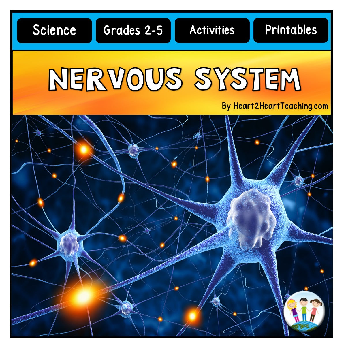 Human Body System: Let's Explore our Nervous System – Heart 2 Heart ...
