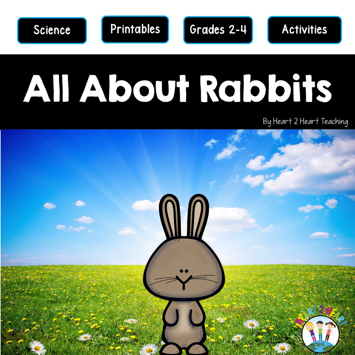 The Life Cycle of a Rabbit Activity Pack – Heart 2 Heart Teaching