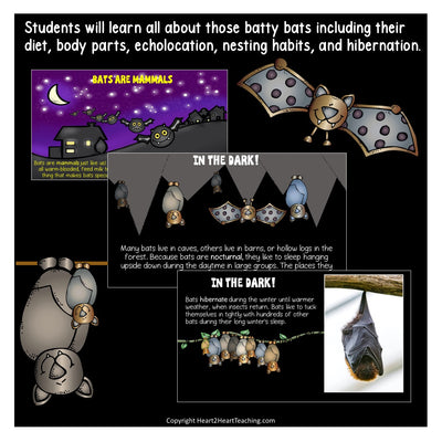 All About Those Batty Bats Powerpoint – Heart 2 Heart Teaching