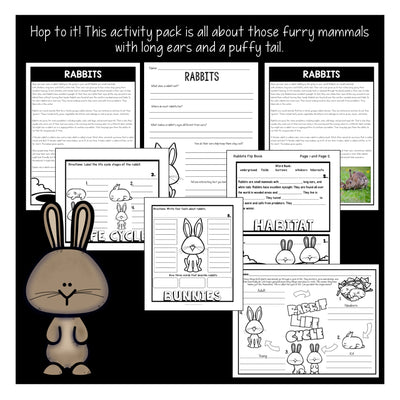 The Life Cycle of a Rabbit Activity Pack – Heart 2 Heart Teaching