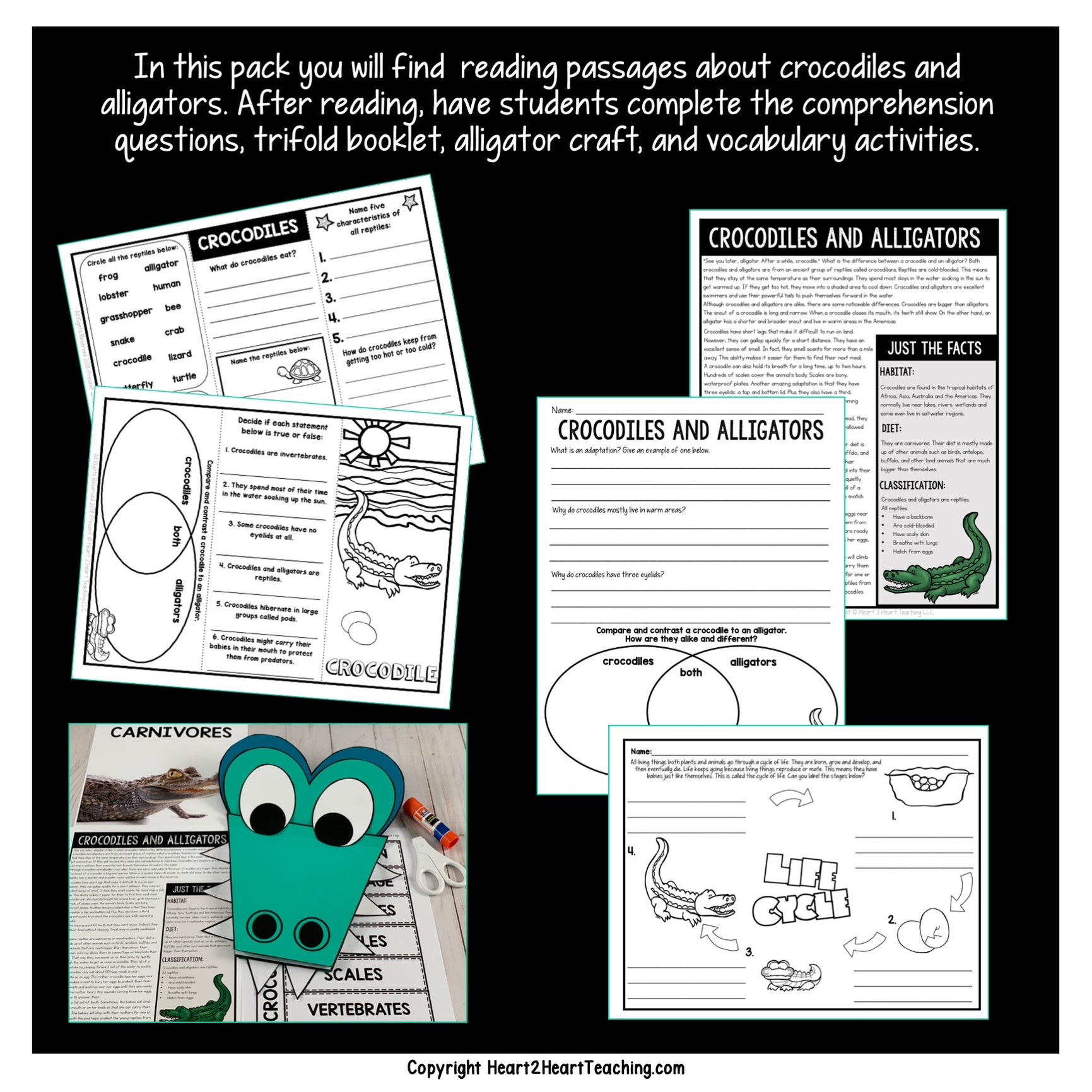 Crocodiles and Alligators Craft and Activity Pack – Heart 2 Heart Teaching