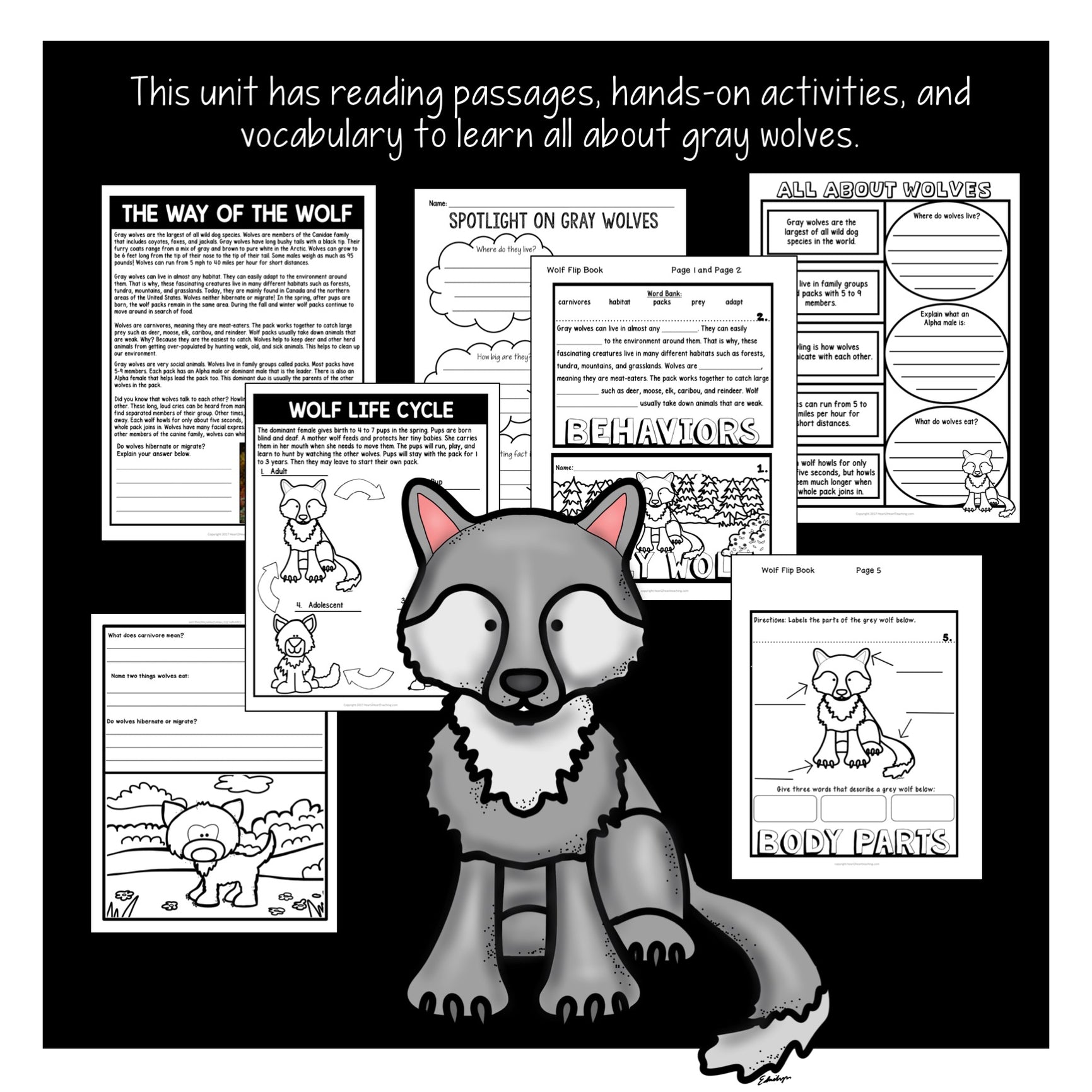 All About Wolves Unit – Heart 2 Heart Teaching