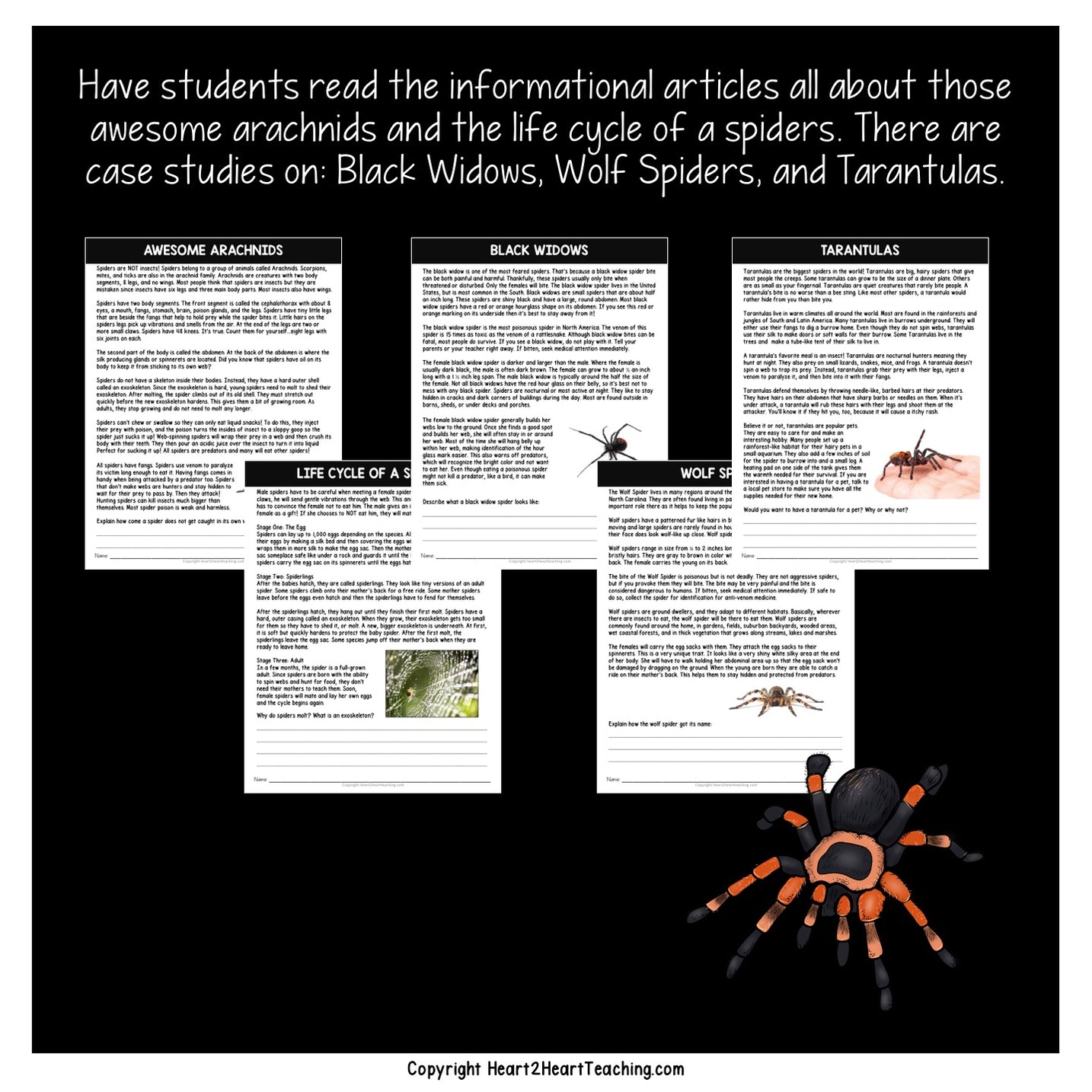 Let's Learn All About Those Creepy Crawly Spiders Activity Pack – Heart ...