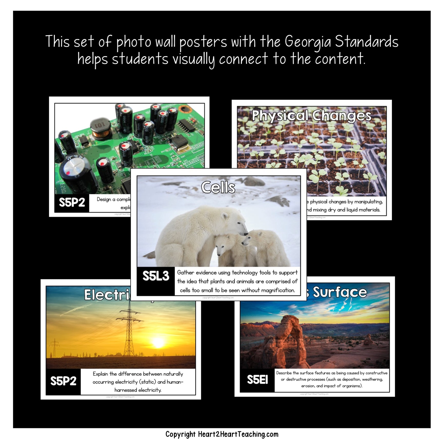 Georgia Standards of Excellence 5th Grade Science Posters – Heart 2 ...
