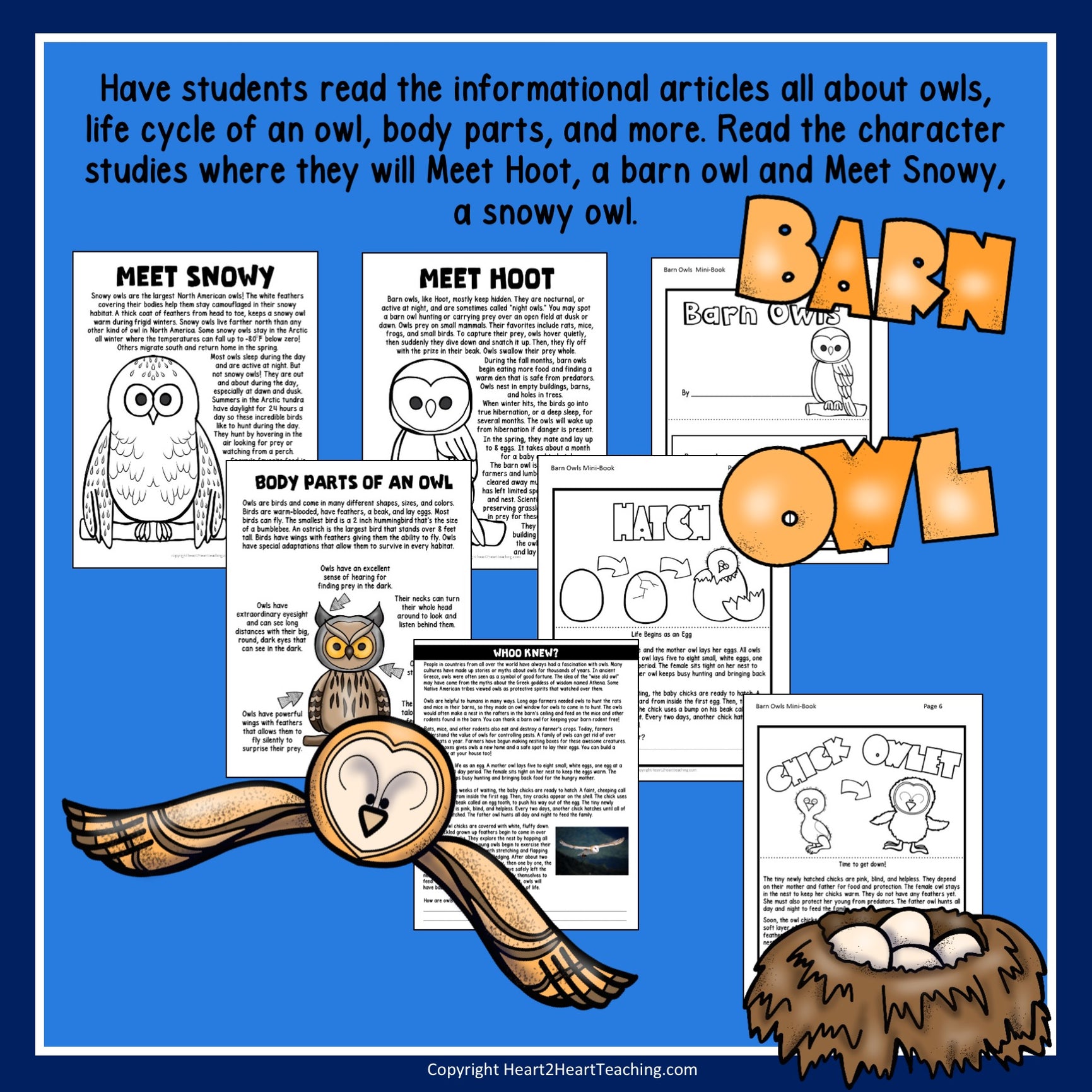 Give A Hoot for Owls: A Non-Fiction Activity Pack – Heart 2 Heart Teaching