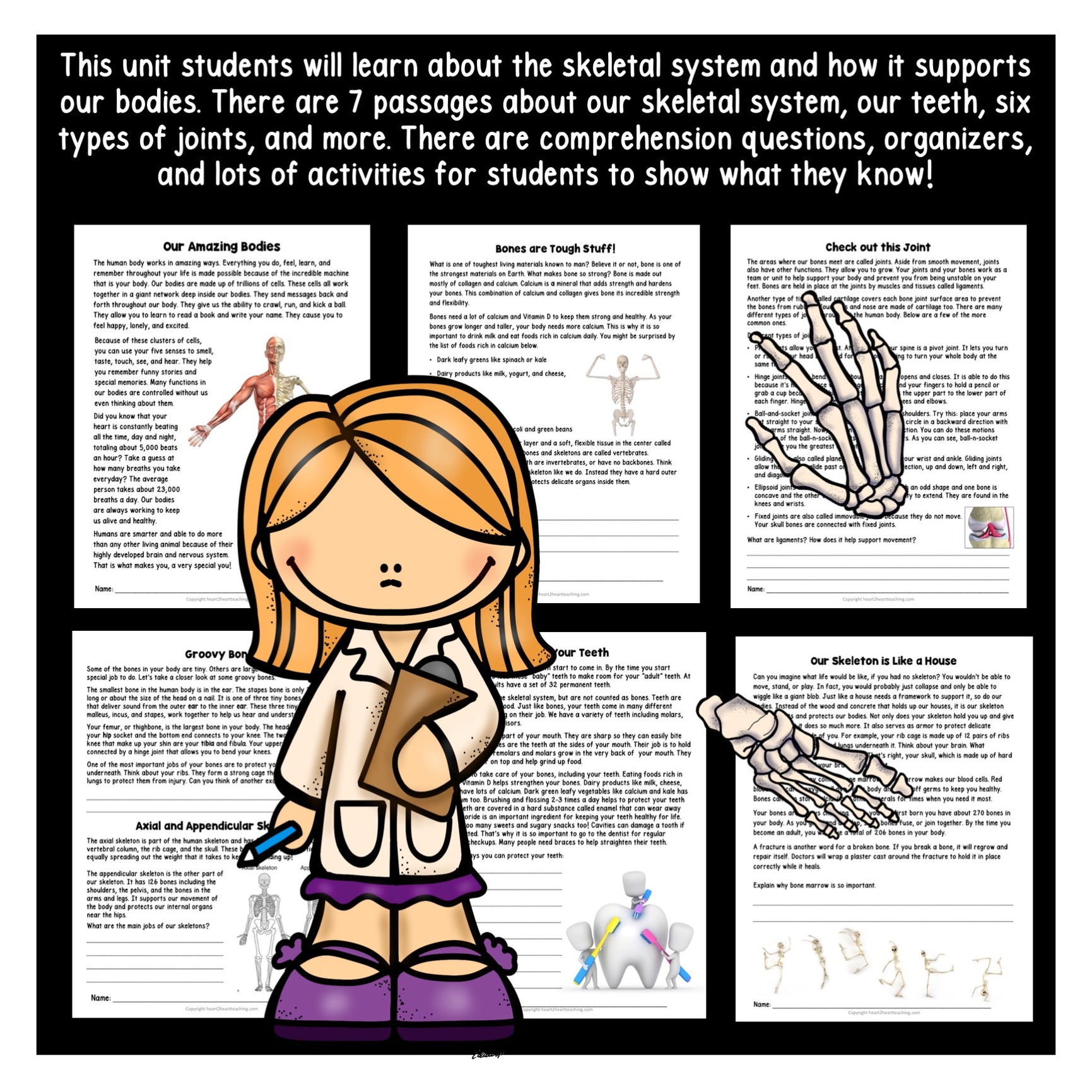 Human Body Systems: Let's Explore Our Skeletal System – Heart 2 Heart ...