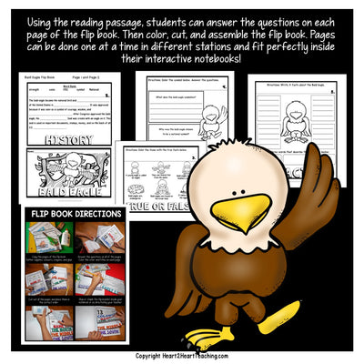 Let's Learn About American Bald Eagles – Heart 2 Heart Teaching