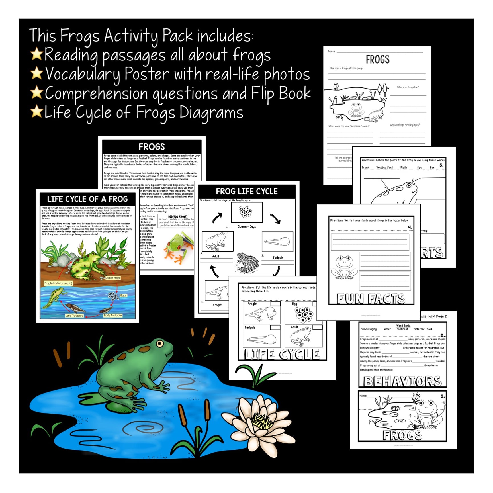 Let's Learn All About Frogs – Heart 2 Heart Teaching