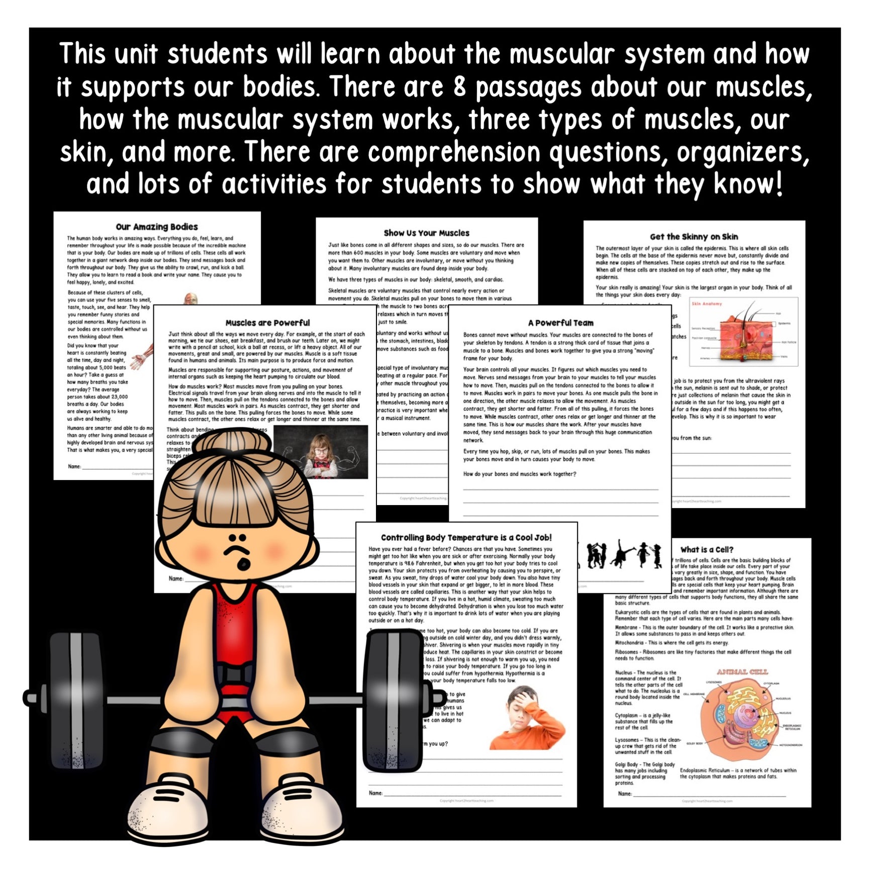 Human Body Systems: Let's Explore our Muscular System – Heart 2 Heart ...