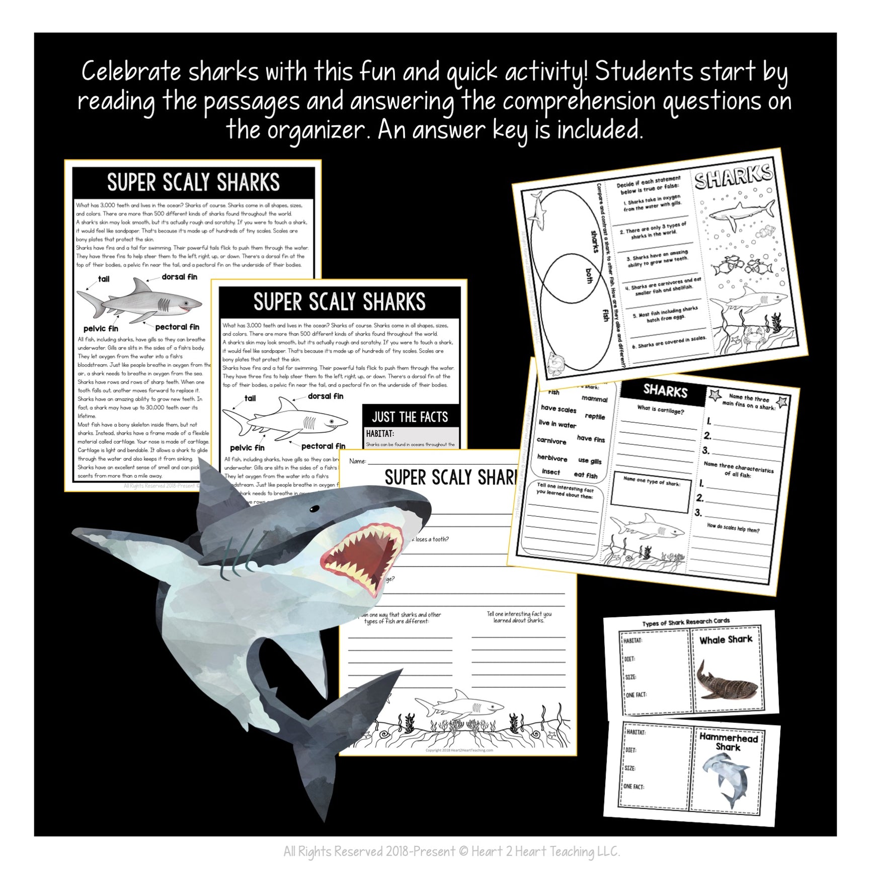 All About Sharks Craft and Activity Pack – Heart 2 Heart Teaching