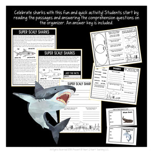 All About Sharks Craft and Activity Pack – Heart 2 Heart Teaching