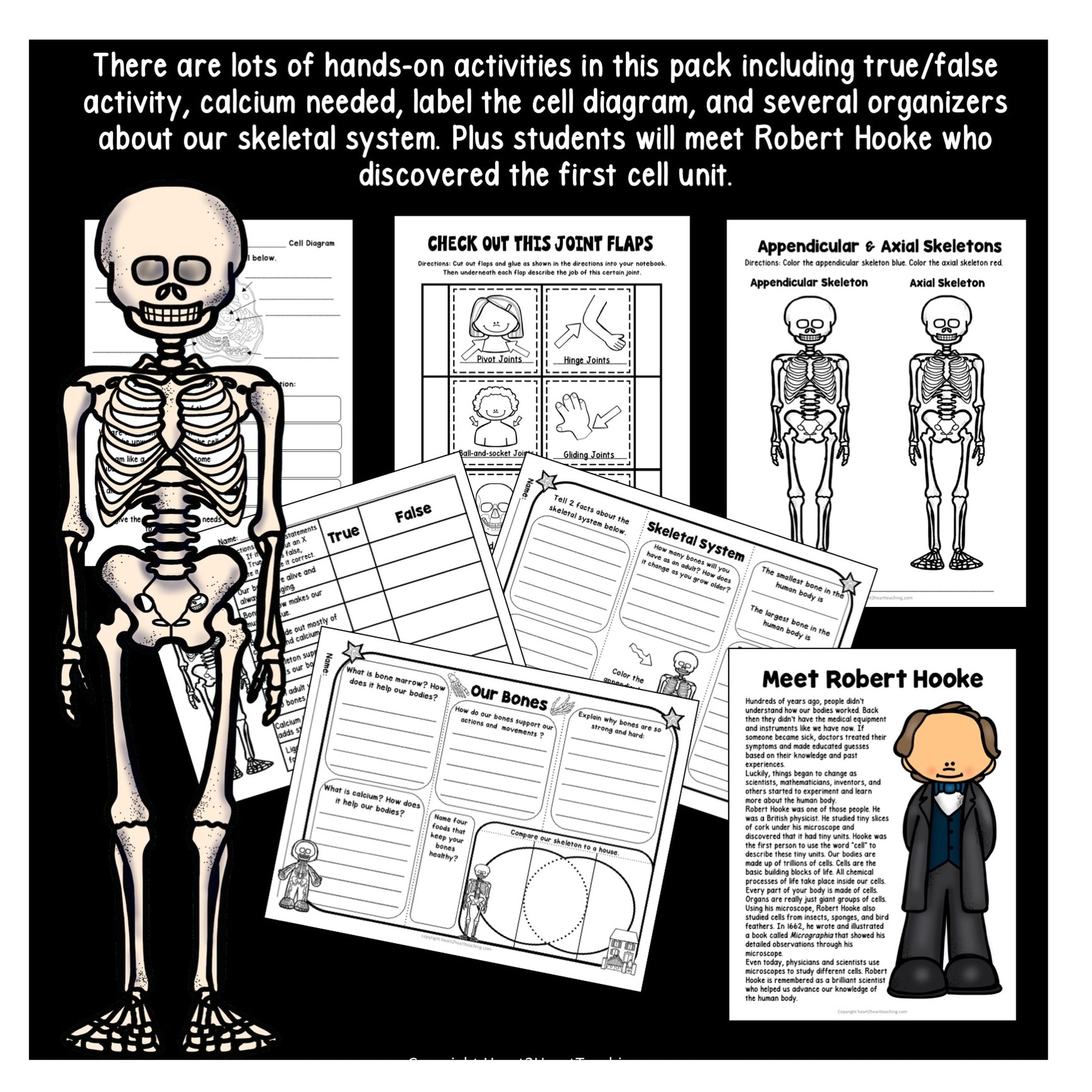 Human Body Systems: Let's Explore Our Skeletal System – Heart 2 Heart ...