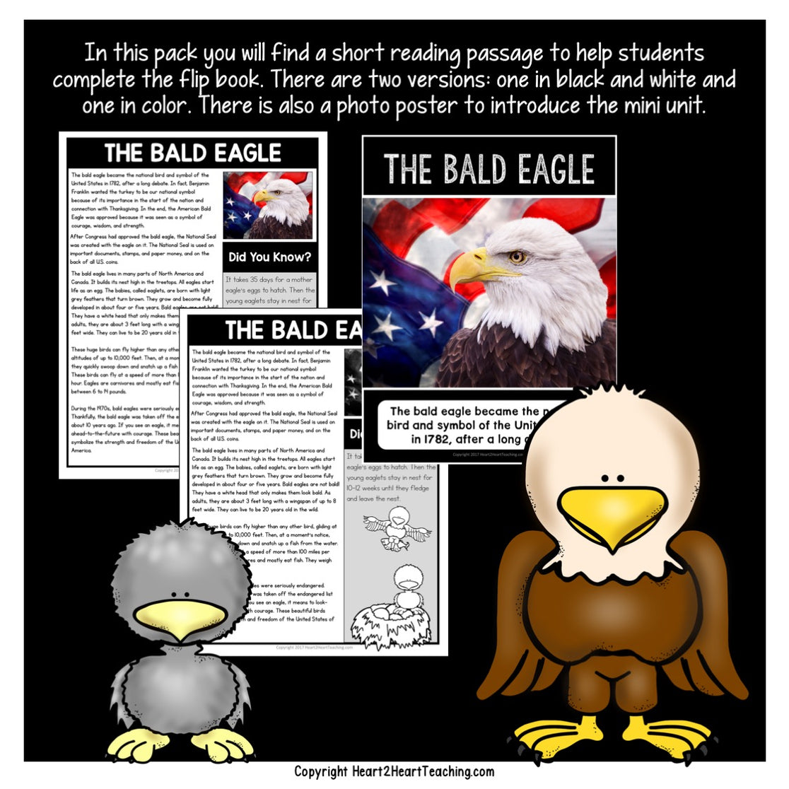 Let's Learn About American Bald Eagles – Heart 2 Heart Teaching