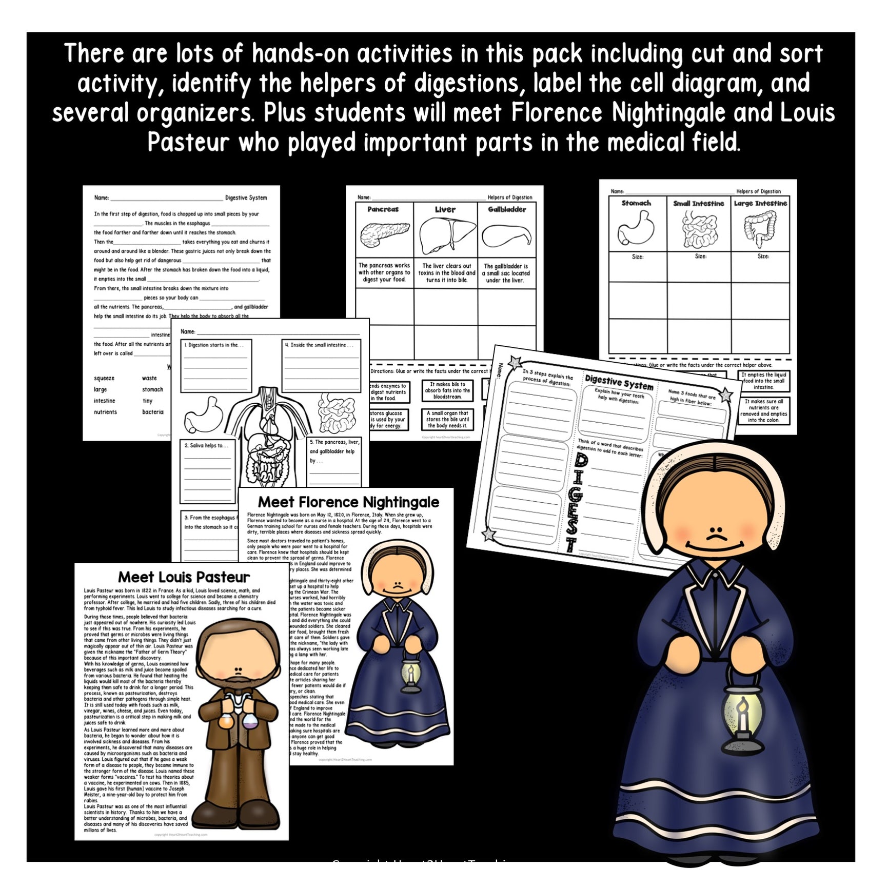 Human Body Systems: Let's Explore our Digestive System – Heart 2 Heart ...