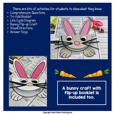 Rabbits Unit with an Easy Easter Bunny Craft Project – Heart 2 Heart ...