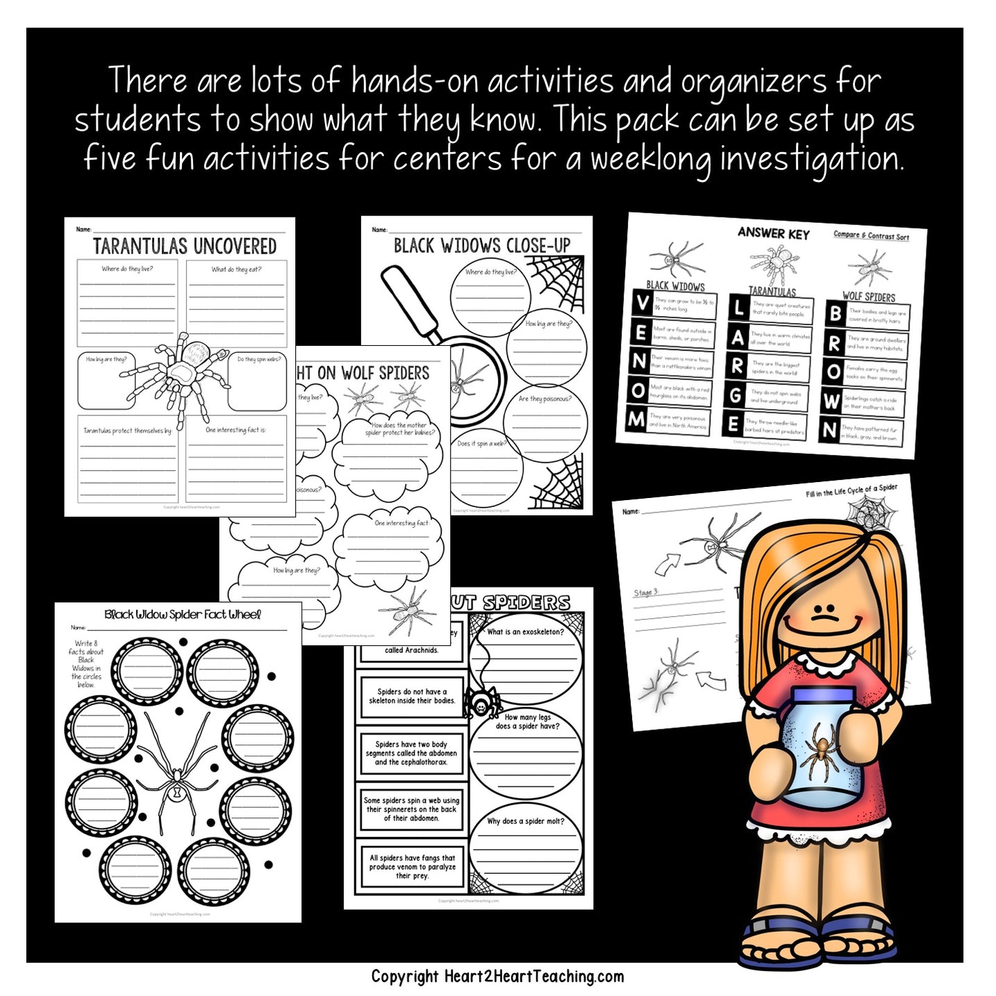 Let's Learn All About Those Creepy Crawly Spiders Activity Pack – Heart ...