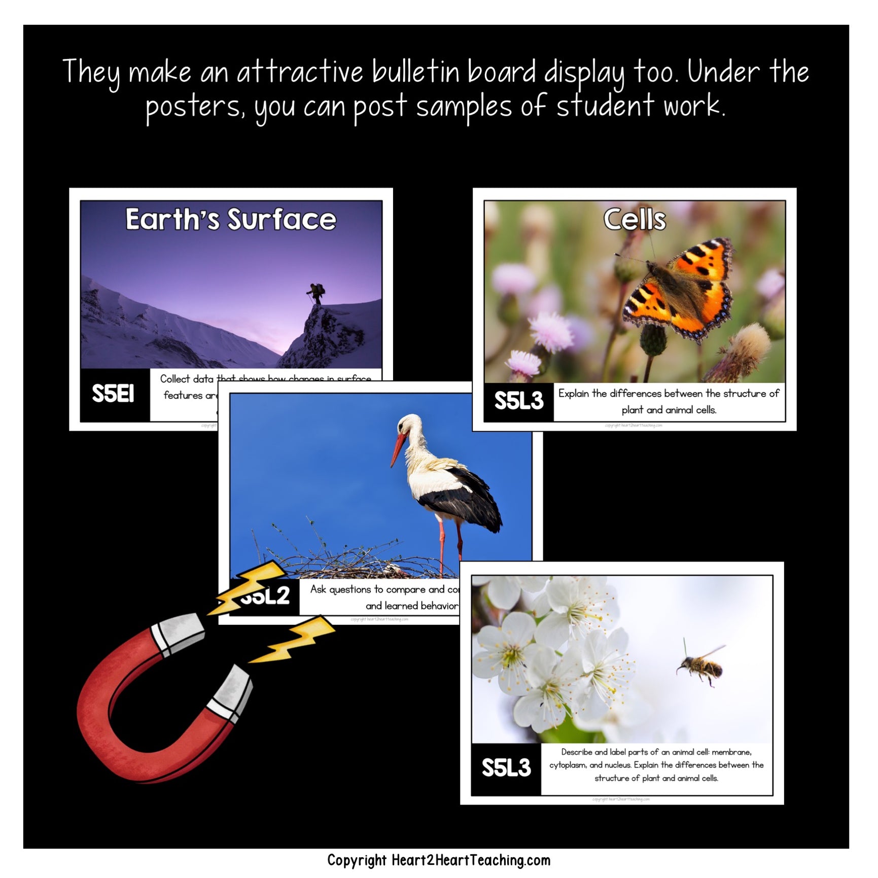 Georgia Standards of Excellence 5th Grade Science Posters – Heart 2 ...