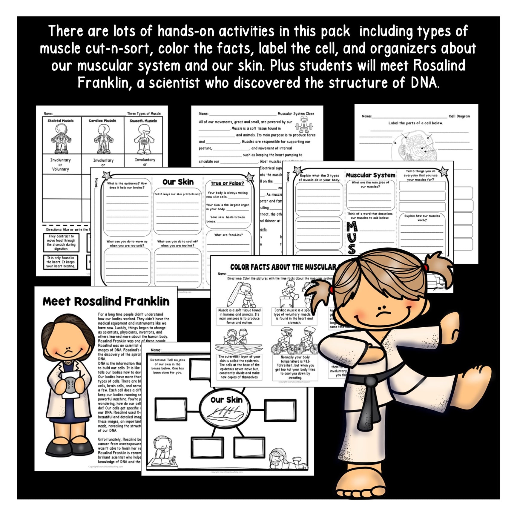 Human Body Systems: Let's Explore our Muscular System – Heart 2 Heart ...