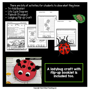 All About Ladybugs Craft and Activity Pack – Heart 2 Heart Teaching