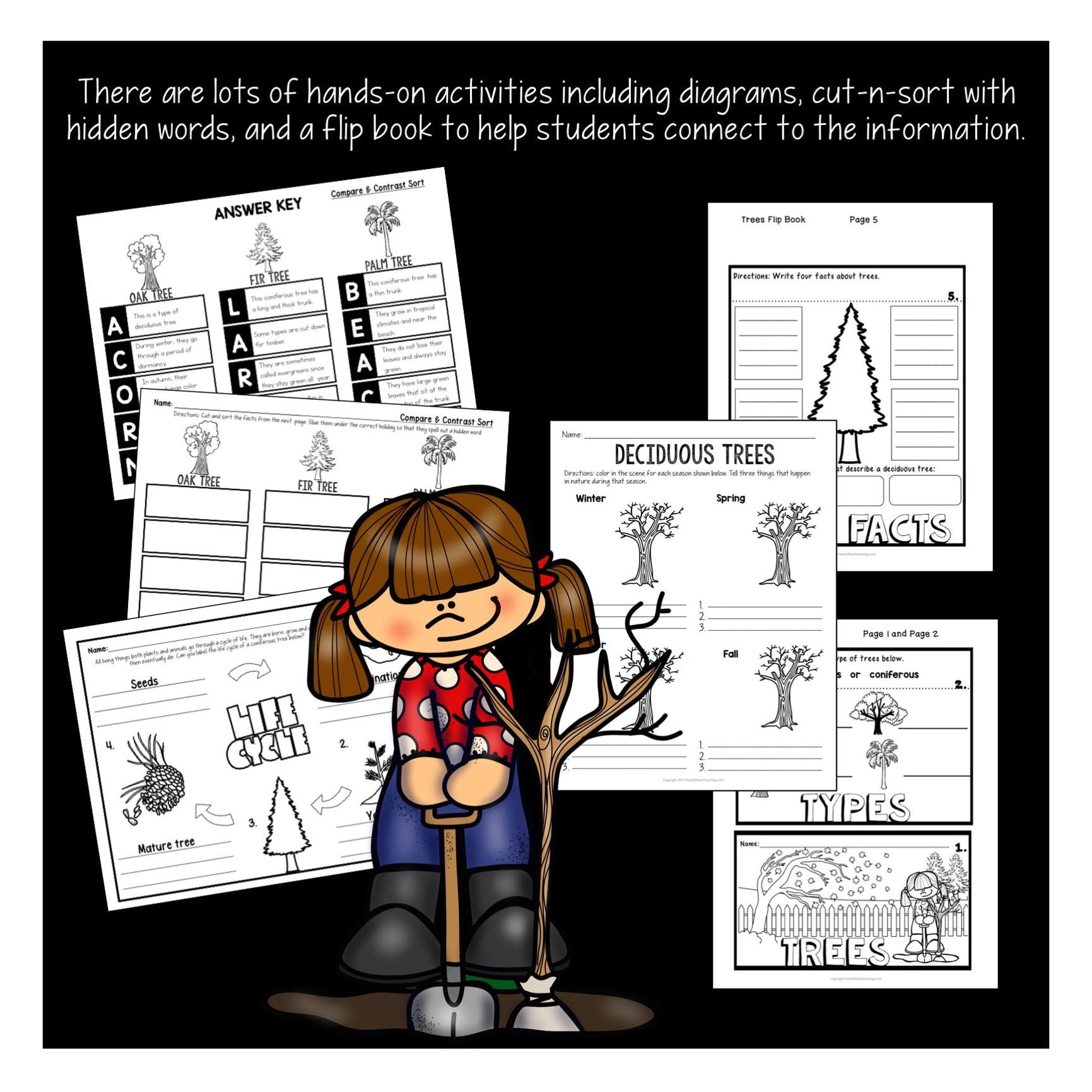 All About Trees Unit: Deciduous and Coniferous – Heart 2 Heart Teaching