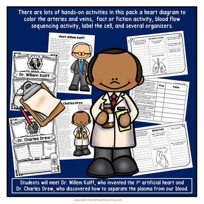 Human Body Systems: Let's Explore Our Circulatory System – Heart 2 ...