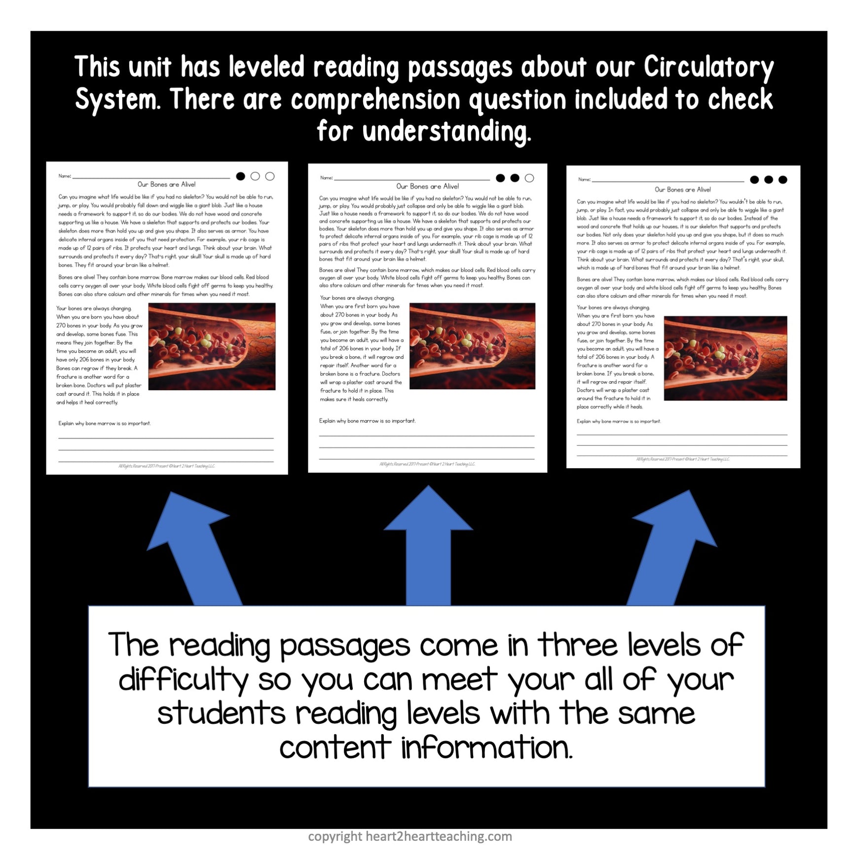 Human Body Systems: Let's Explore Our Circulatory System – Heart 2 ...