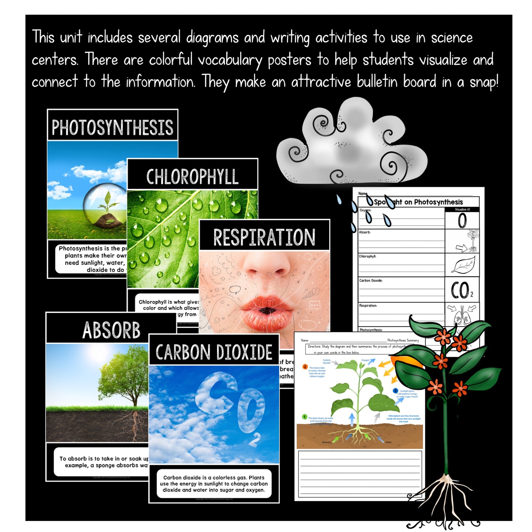 Photosynthesis Activities for Science Centers – Heart 2 Heart Teaching