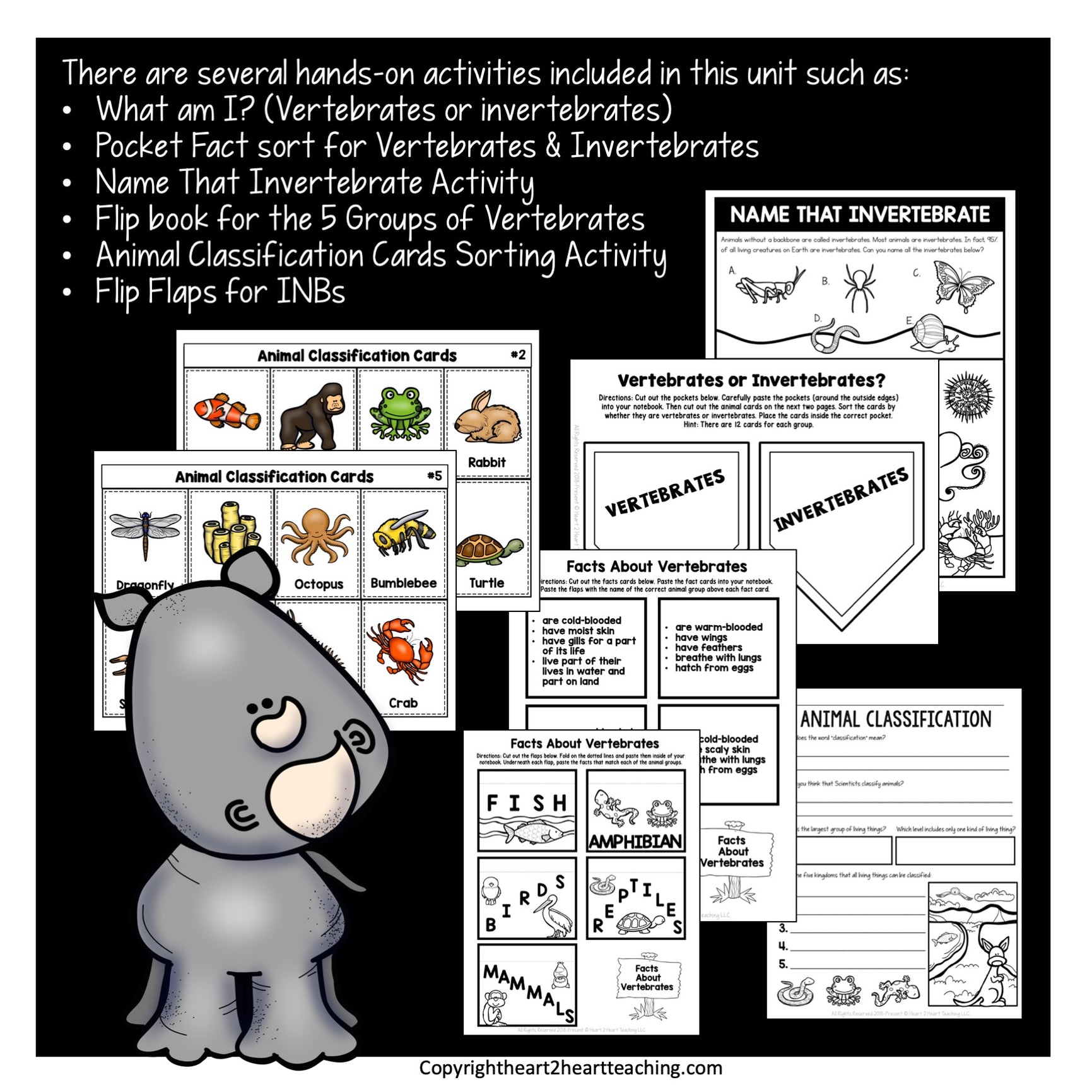 Animal Classification Unit with Mammals, Birds, Fish, Reptiles, and Am ...