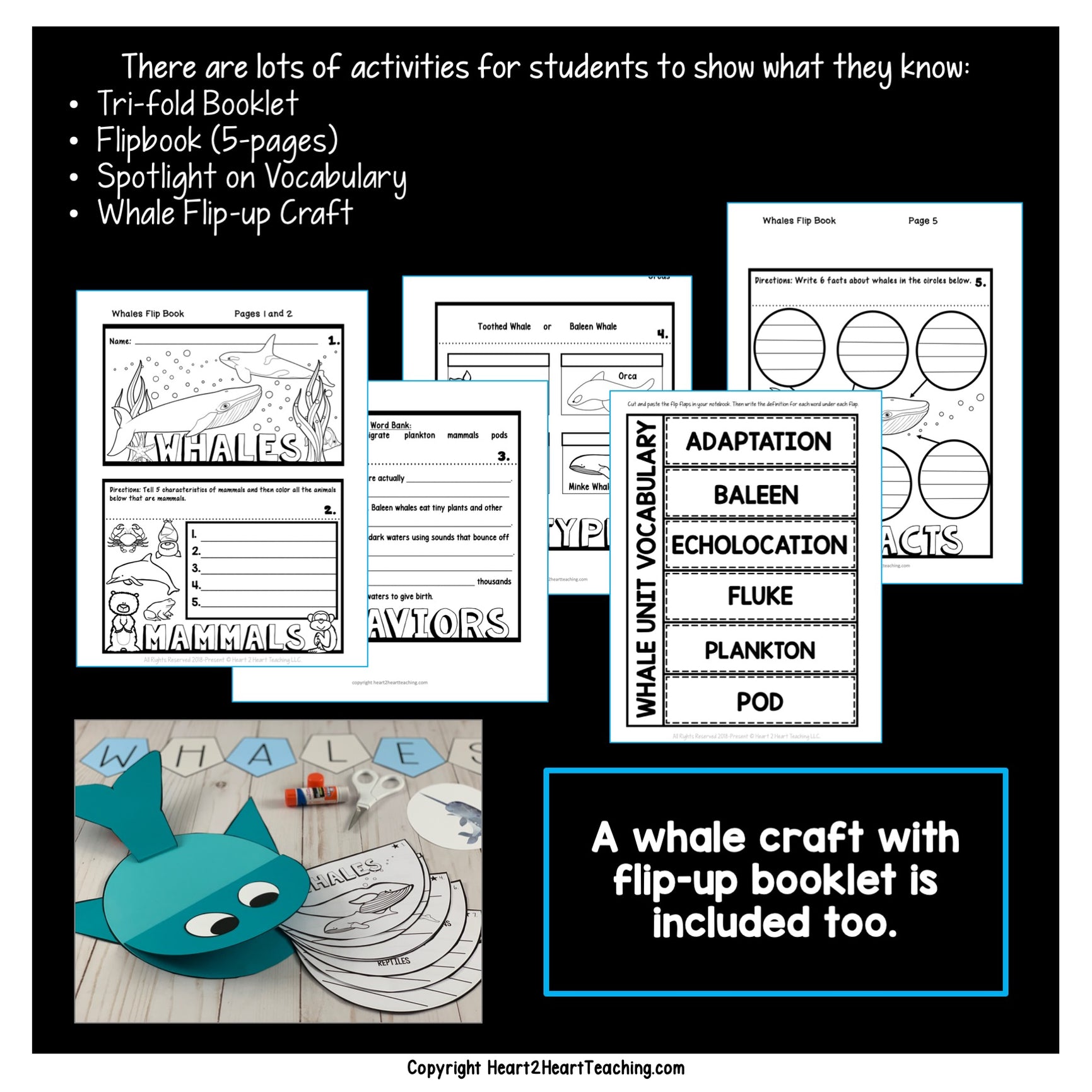 The Tale of Whale Craft and Activity Pack – Heart 2 Heart Teaching