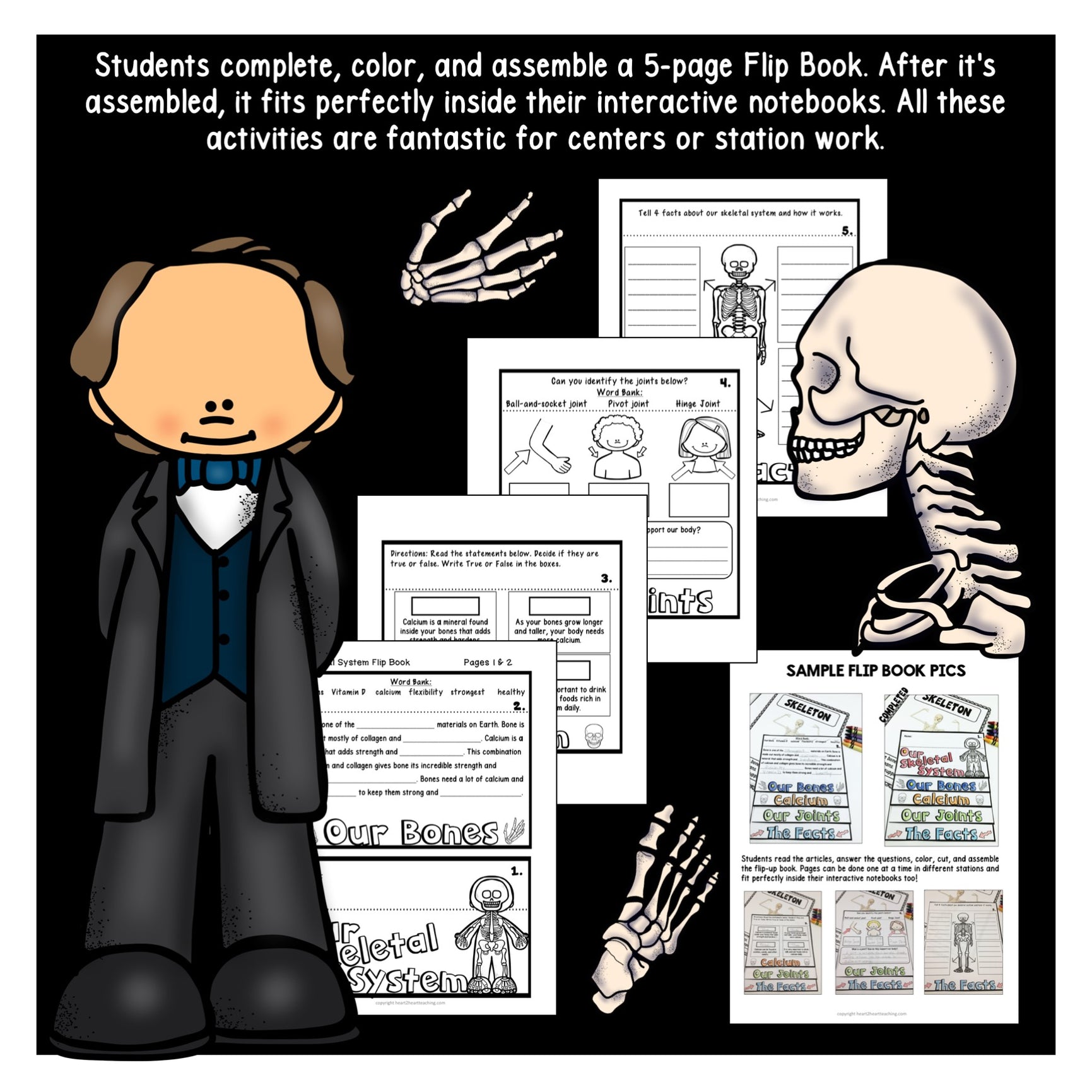 Human Body Systems: Let's Explore Our Skeletal System – Heart 2 Heart ...