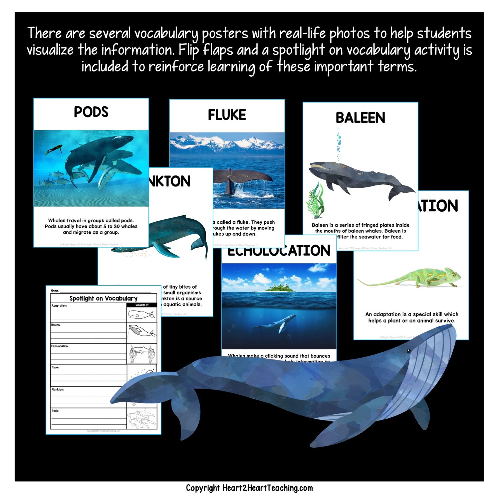 The Tale of Whale Craft and Activity Pack – Heart 2 Heart Teaching