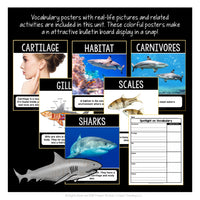 All About Sharks Craft and Activity Pack – Heart 2 Heart Teaching