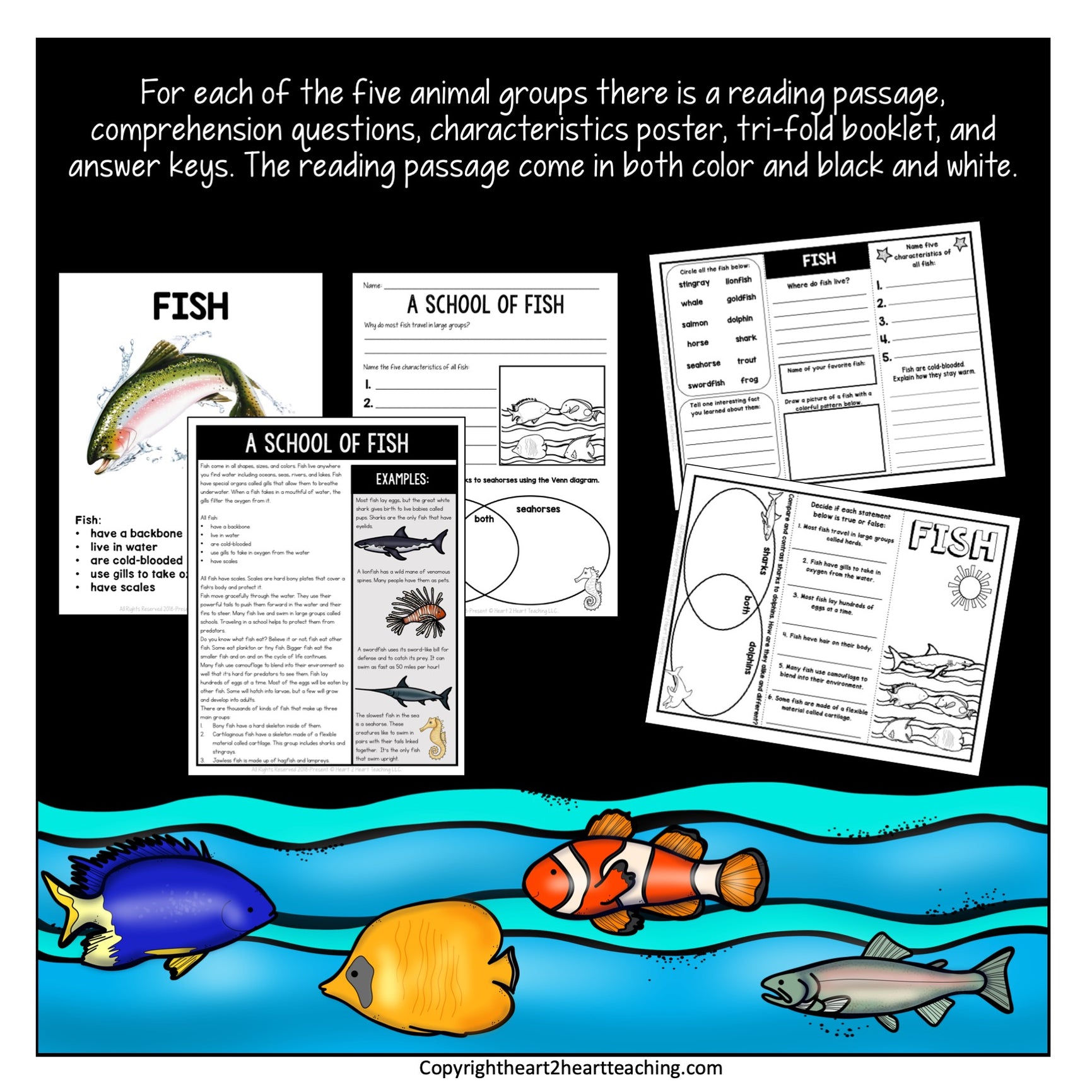Animal Classification Unit with Mammals, Birds, Fish, Reptiles, and Am ...